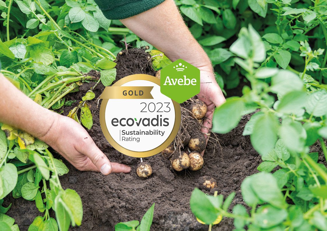 Gouden medaille voor Royal Avebe - Avebe